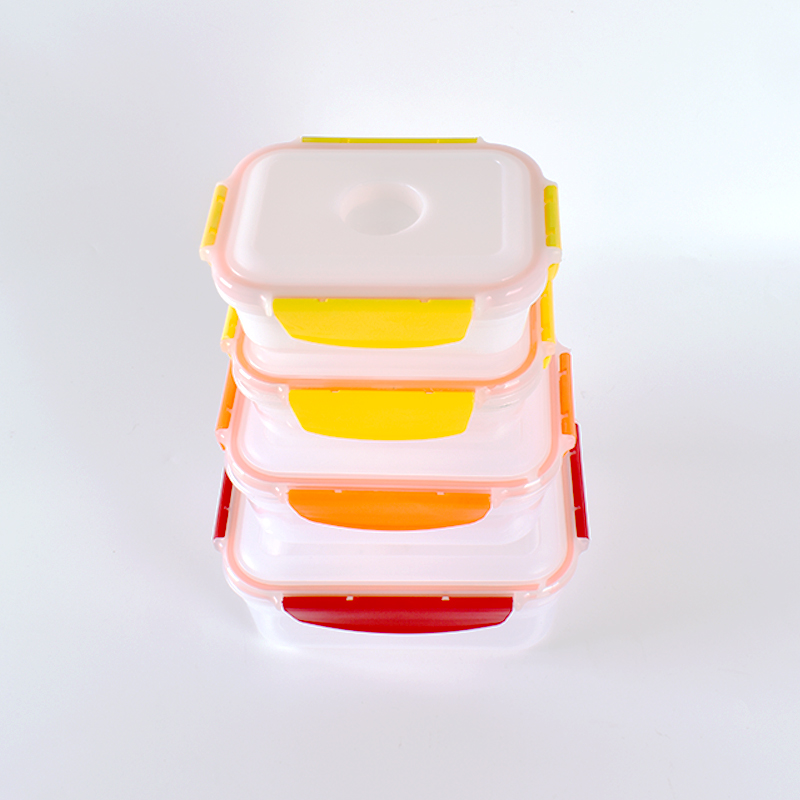 Food Storage Collapsible eco potluck Lunch Box