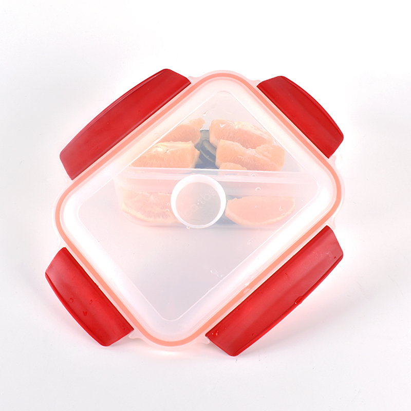 Food Storage Collapsible eco potluck Lunch Box