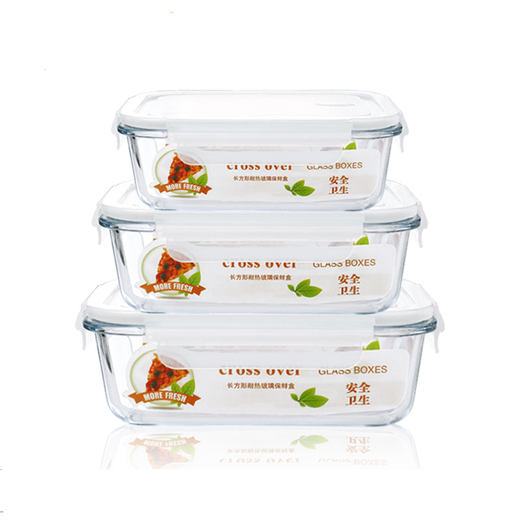 Bento Food Container Pyrex Borosil Glass Lunch Box