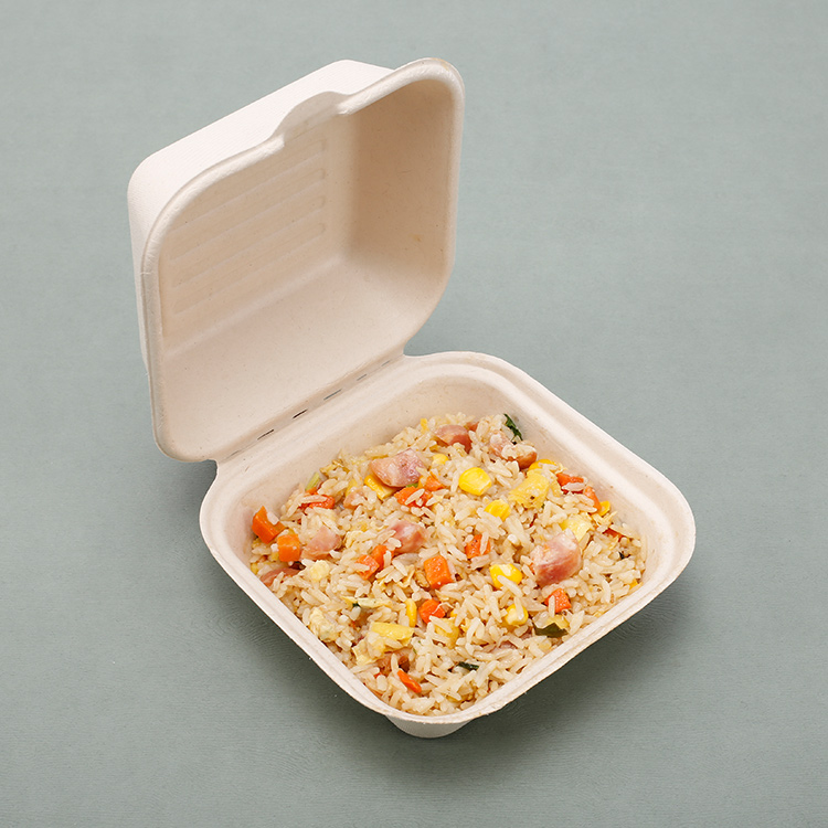 Disposable lunch box company, disposable lunch box with cheap price ...