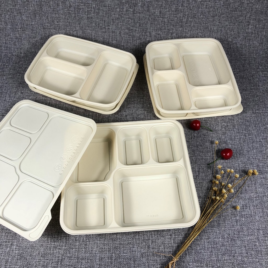 Disposable lunch box company, disposable lunch box with cheap price ...